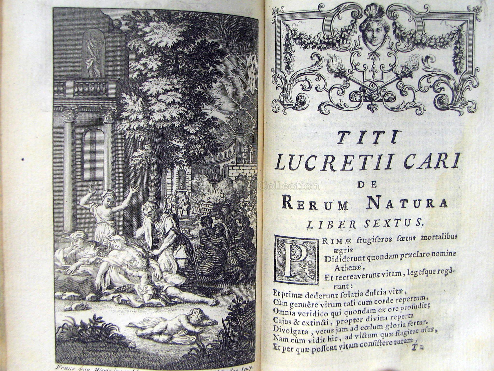 Titi Lucreti • The McCune Collection